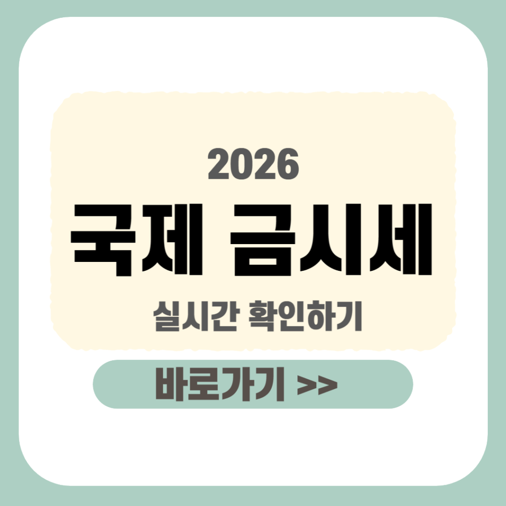 극한84 재방송 시간 OTT :: MBC 편성표 - 일상정보 365